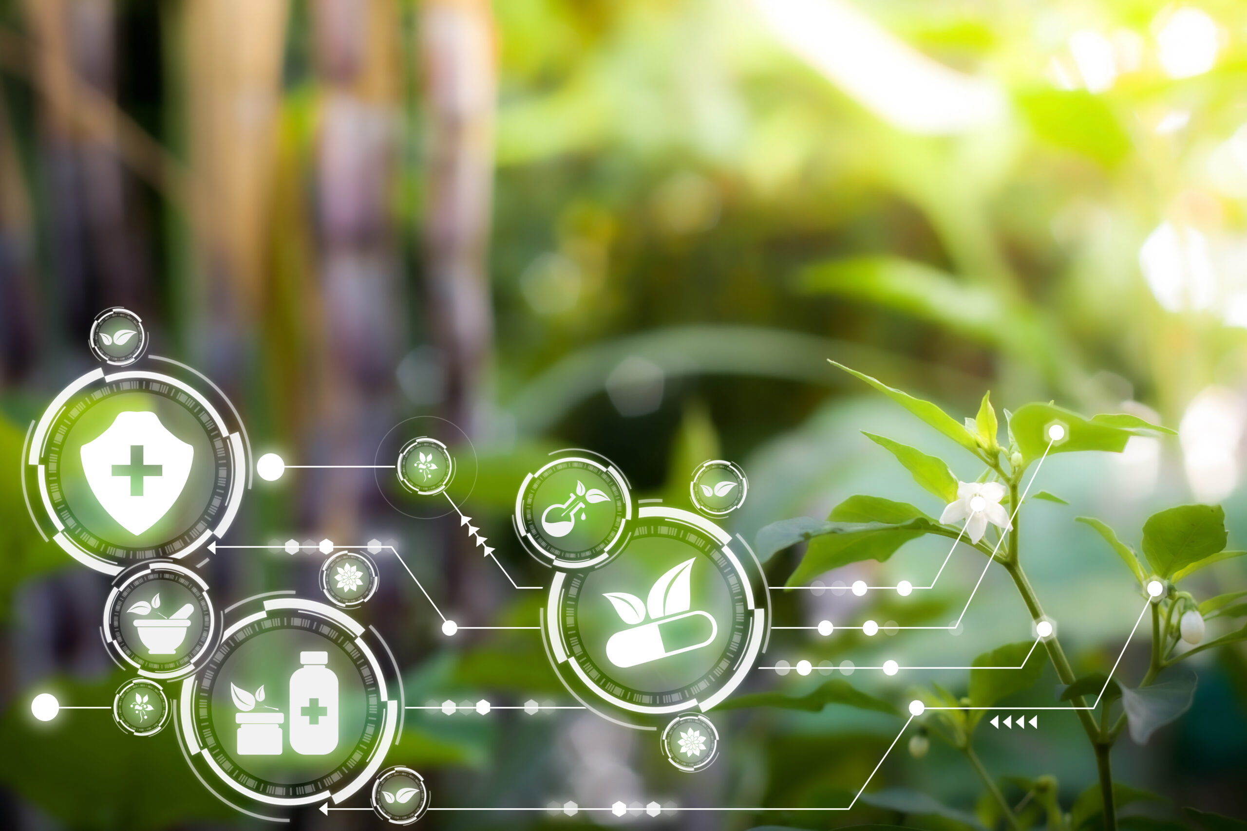 Datapharm joins the Sustainable Medicines Partnership